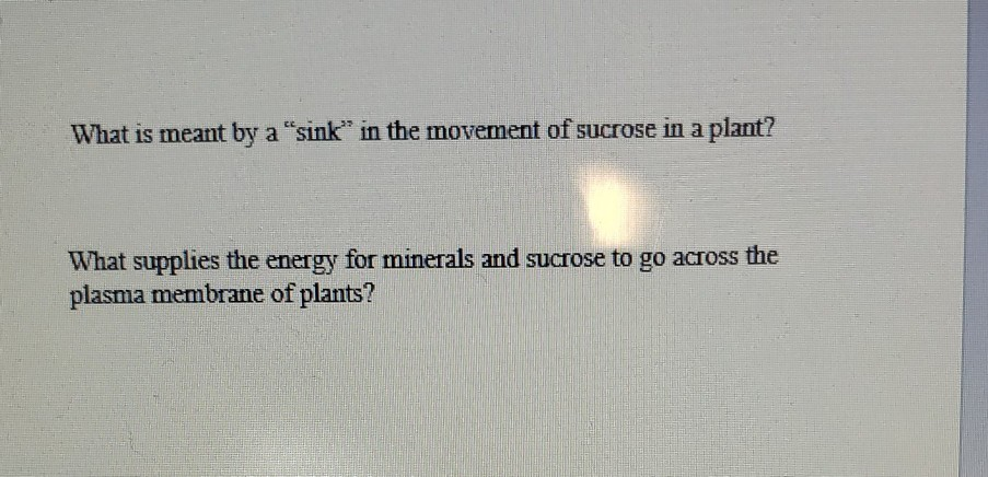 Solved What is meant by a "sink" in the movement of sucrose | Chegg.com