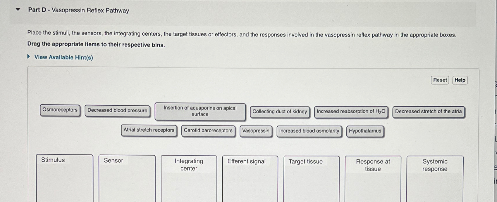 Solved Part D - ﻿Vasopressin Reflex PathwayPlace the | Chegg.com