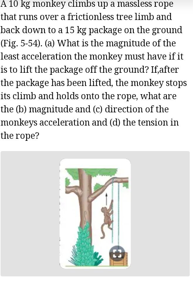 Solved A 10 kg monkey climbs up a massless rope that runs | Chegg.com