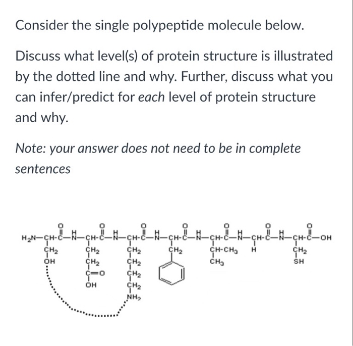 Solved Consider the single polypeptide molecule below. | Chegg.com