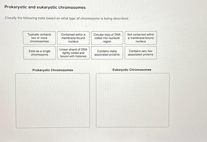 Solved Prokaryotic and eukaryotic chromosomes Classify the | Chegg.com