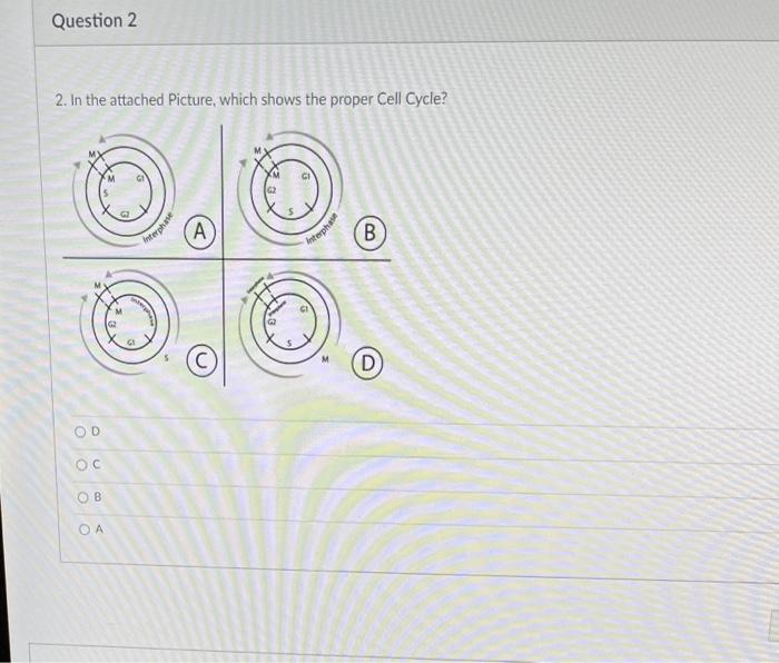 Solved 2. In the attached Picture, which shows the proper | Chegg.com