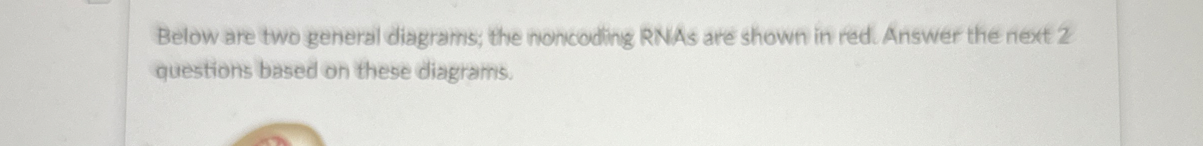 Solved Below are two general diagrams; the noncoding RNAs | Chegg.com