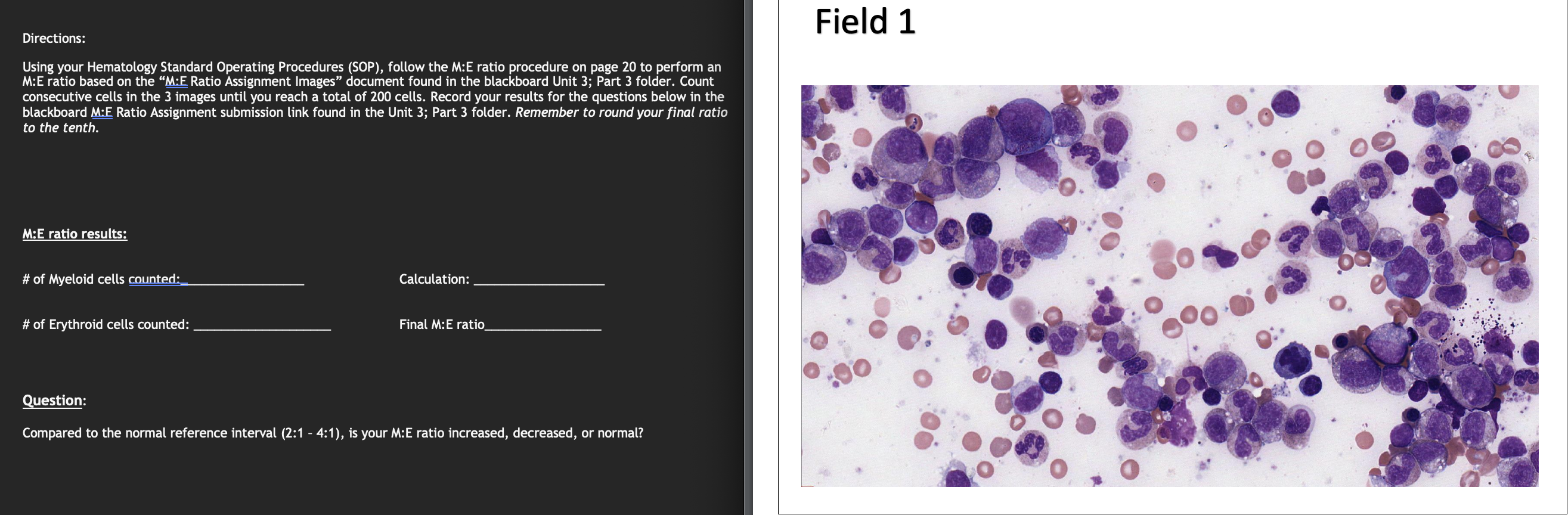 Solved Directions: Using your Hematology Standard Operating | Chegg.com