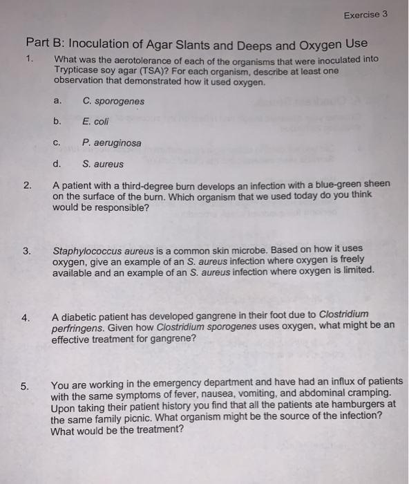Exercise 3 Part B: Inoculation of Agar Slants and | Chegg.com