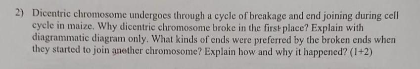 Dicentric chromosome undergoes through a cycle of | Chegg.com