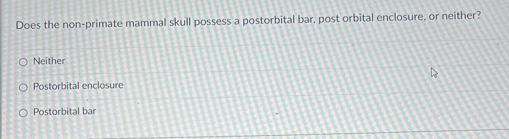 Solved Does the non-primate mammal skull possess a | Chegg.com
