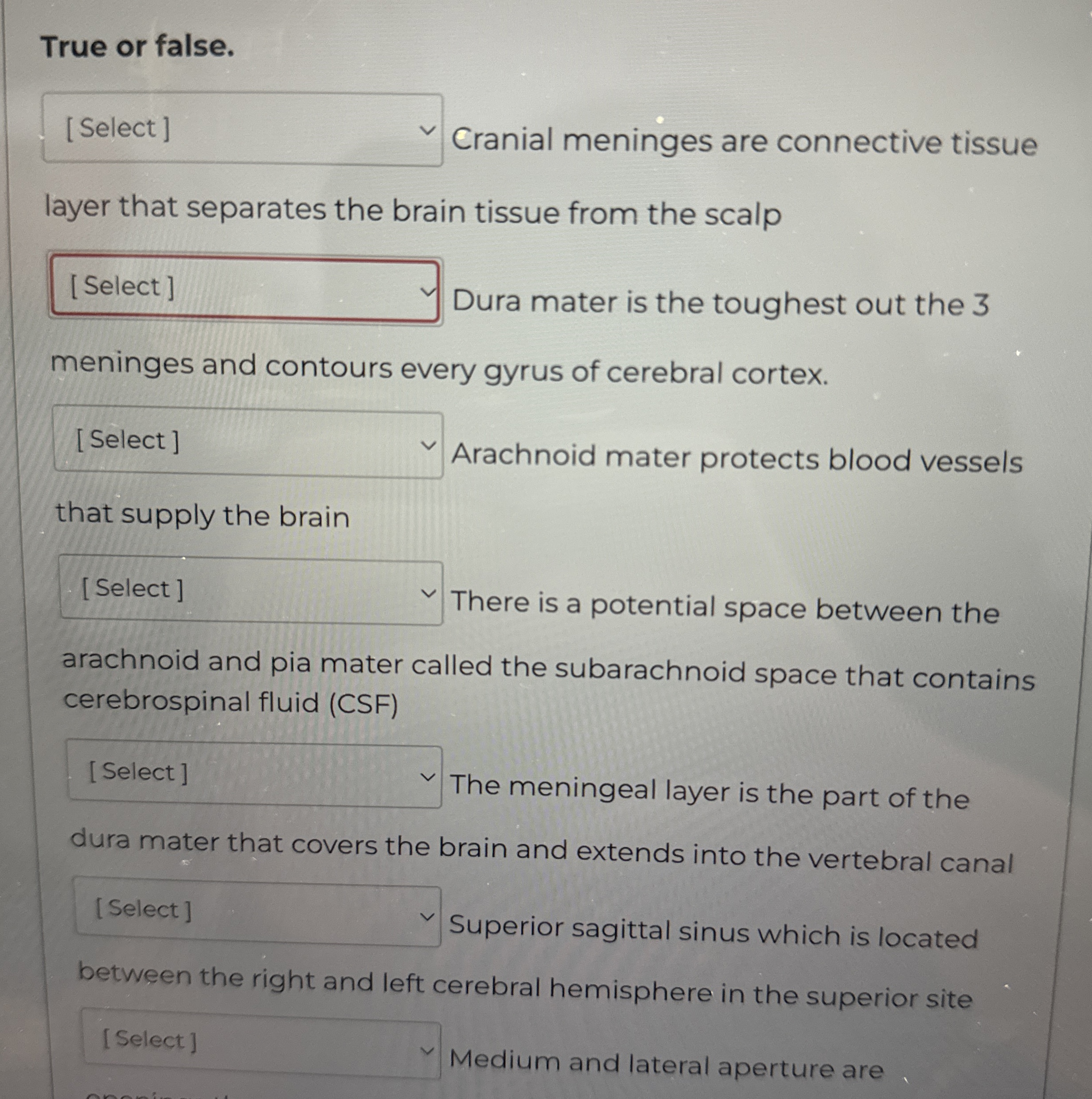 Solved True or false.Cranial meninges are connective tissue | Chegg.com