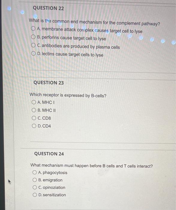 Solved QUESTION 19 Which cells need to be screened for self | Chegg.com