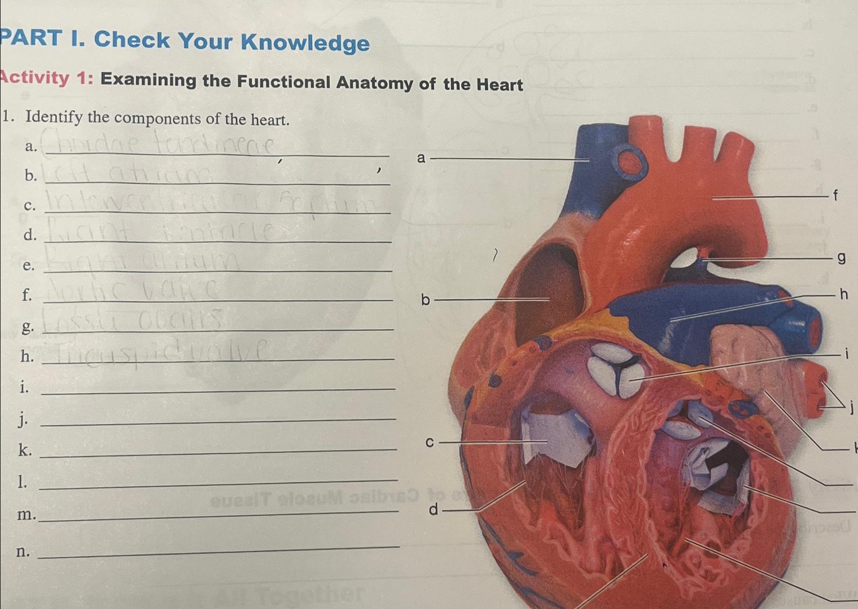 Solved PART I. Check Your KnowledgeActivity 1: Examining the | Chegg.com