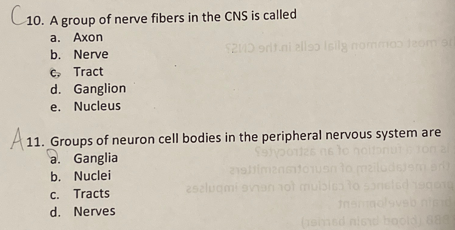 Solved A group of nerve fibers in the CNS is calleda. | Chegg.com