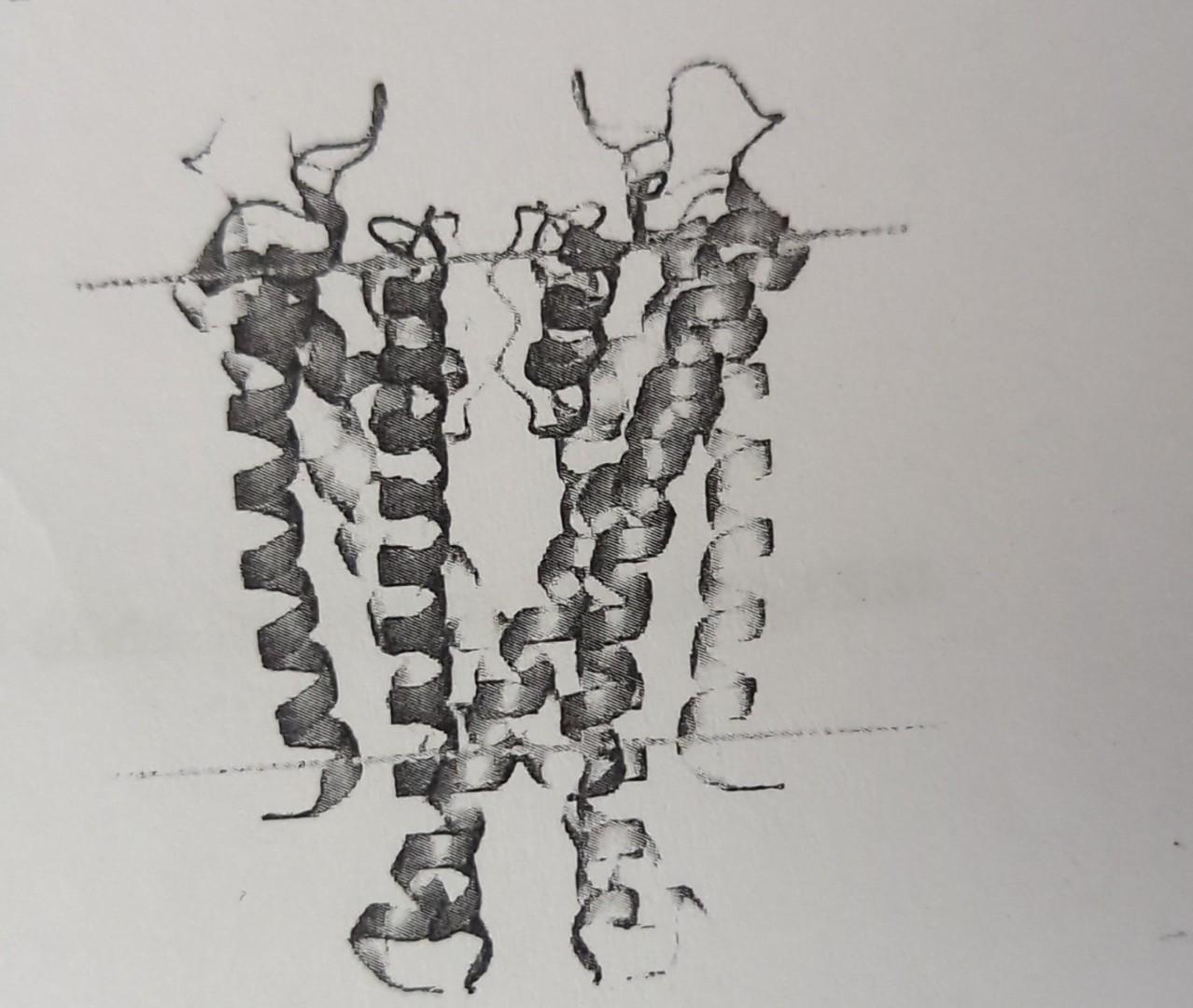 Solved (3 pts) These coils are folded all together to create | Chegg.com