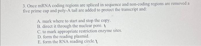 Solved 3. Once mRNA coding regions are spliced in sequence | Chegg.com