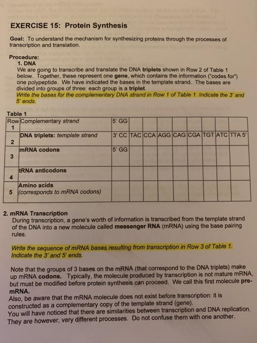 Solved EXERCISE 15: Protein Synthesis Goal: To understand | Chegg.com