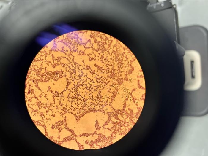 Solved Appendix | Chegg.com