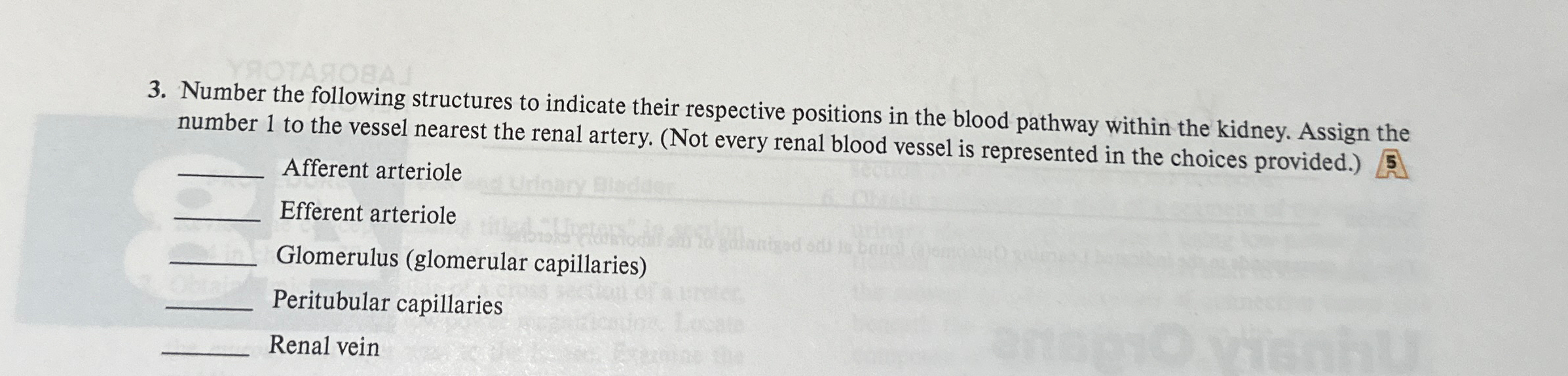 Solved Number the following structures to indicate their | Chegg.com