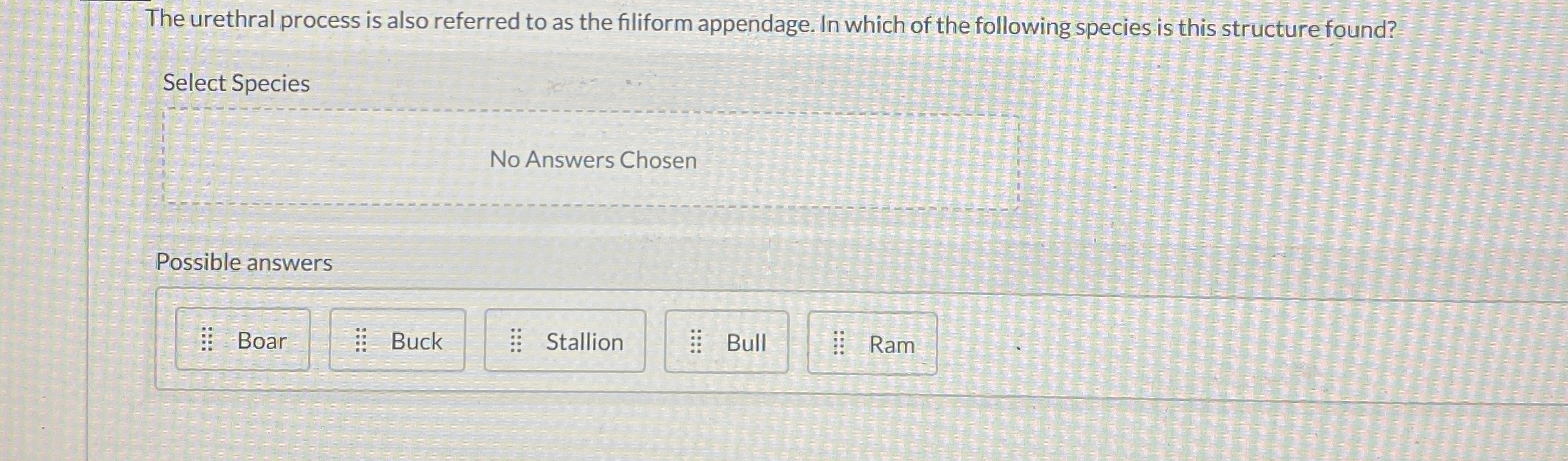 Solved The urethral process is also referred to as the | Chegg.com
