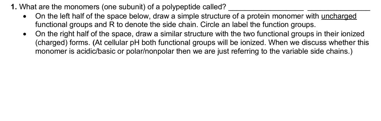Solved 1. What are the monomers (one subunit) of a | Chegg.com