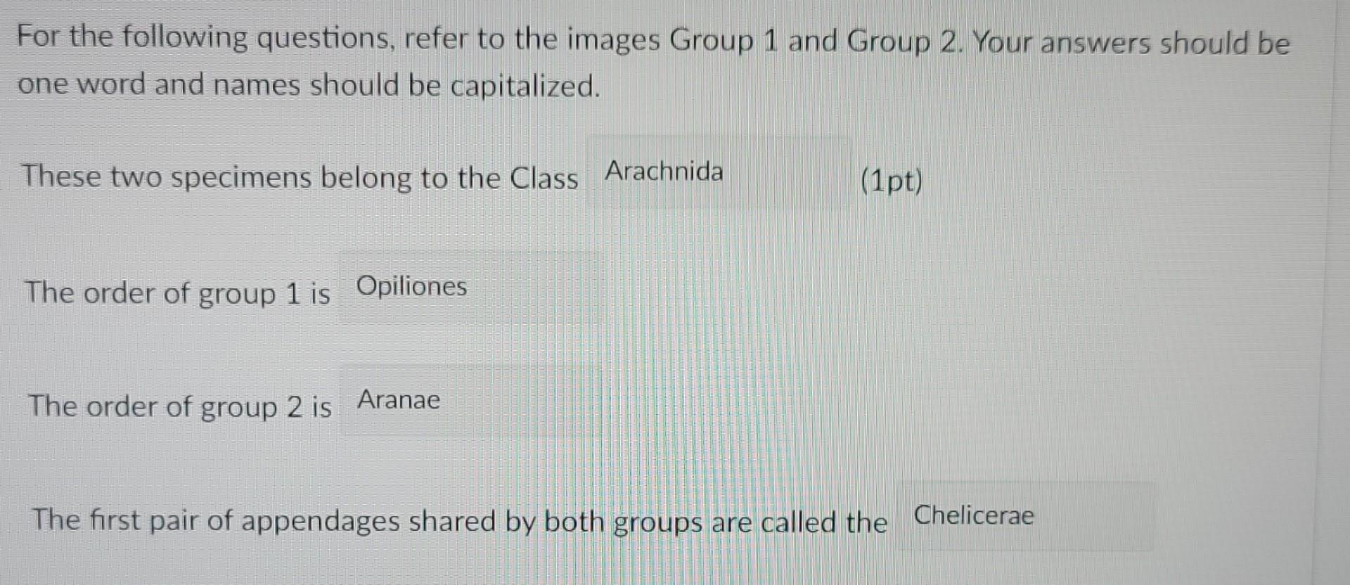 Solved For the following questions, refer to the images | Chegg.com