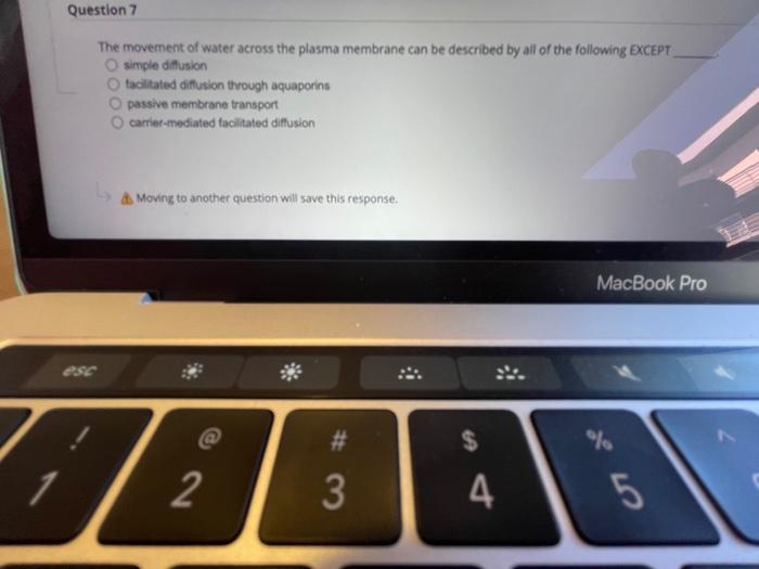 Solved Question 6 What is a vertical section through the | Chegg.com
