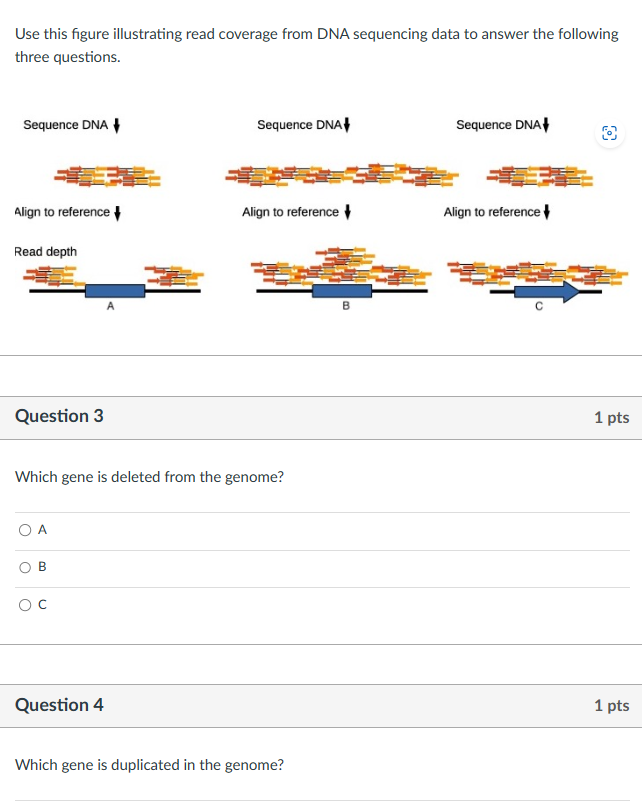 Solved Use this figure illustrating read coverage from DNA | Chegg.com