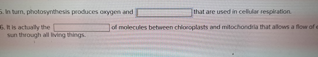 Solved In turn, photosynthesis produces oxygen and that are | Chegg.com