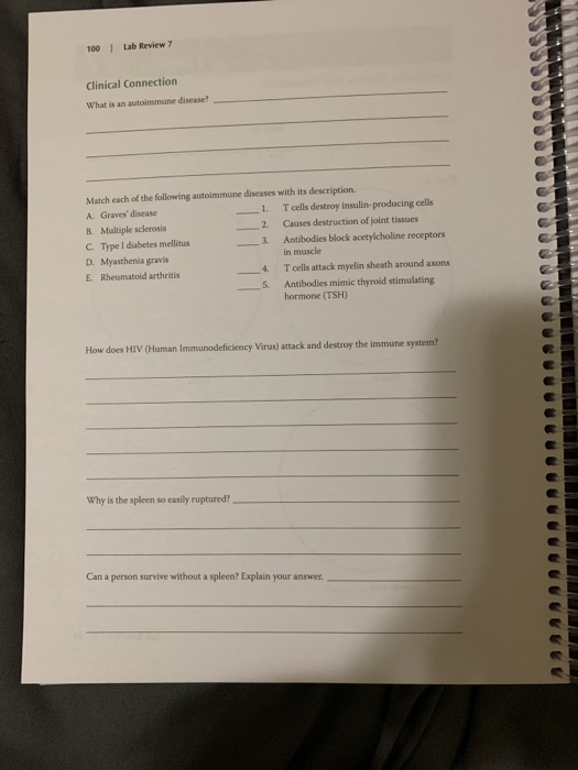 Solved 100 Lab Review 7 Clinical Connection What is an | Chegg.com