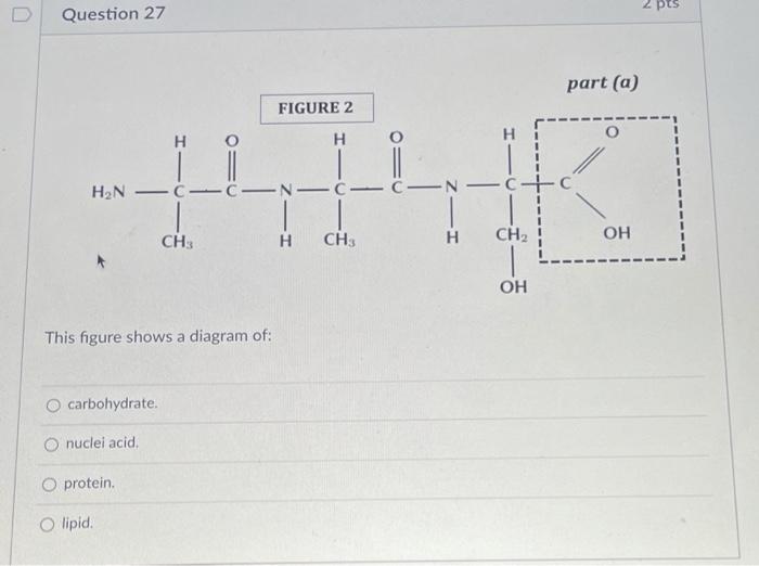 Solved How many peptide bonds are shown in FIGURE 2? part | Chegg.com