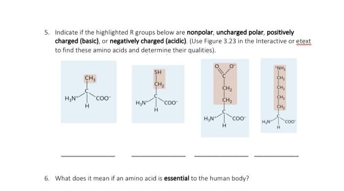 Solved 5. Indicate if the highlighted Rgroups below are | Chegg.com