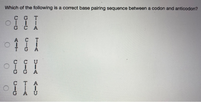 Solved which of the following is a correct base pairing | Chegg.com