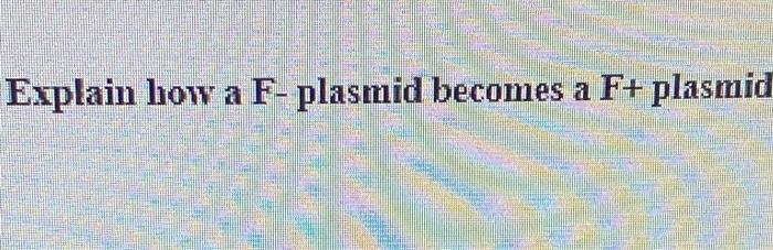 Solved Explain how a F-plasmid becomes a F+ plasmid | Chegg.com