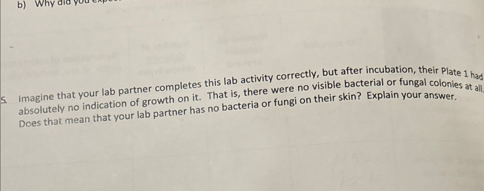 Solved Imagine that your lab partner completes this lab | Chegg.com
