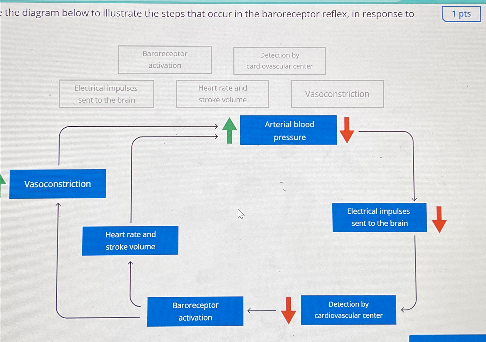Solved the diagram below to illustrate the steps that occur | Chegg.com