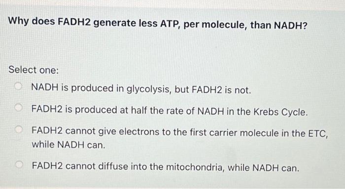 Solved Why does FADH2 generate less ATP, per molecule, than | Chegg.com