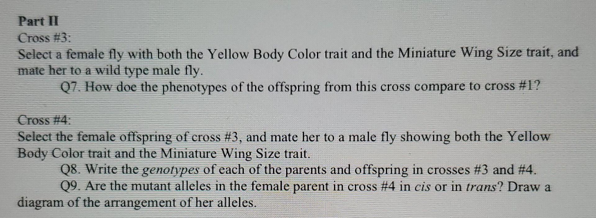 Part II Cross #3: Select a female fly with both the | Chegg.com