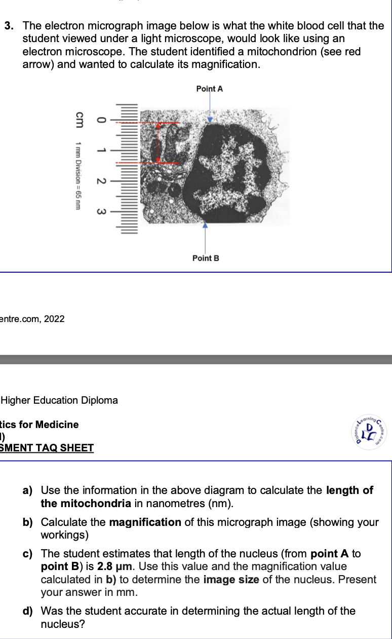 Solved 3. ﻿The electron micrograph image below is what the | Chegg.com