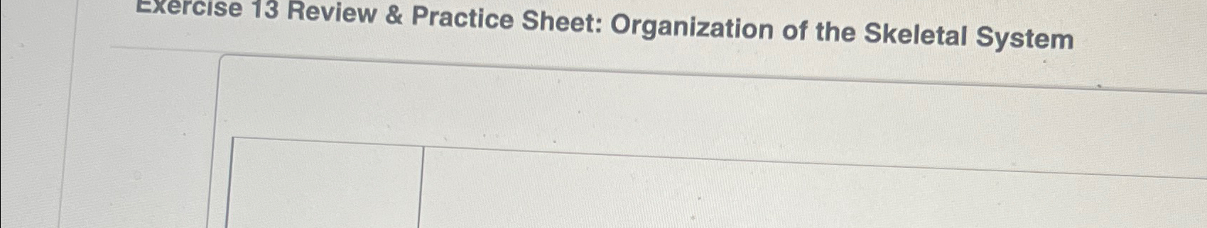 Solved Exercise 13 ﻿Review & Practice Sheet: Organization of | Chegg.com