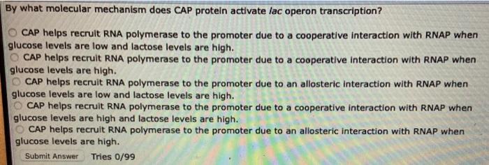 Solved By what molecular mechanism does CAP protein activate | Chegg.com