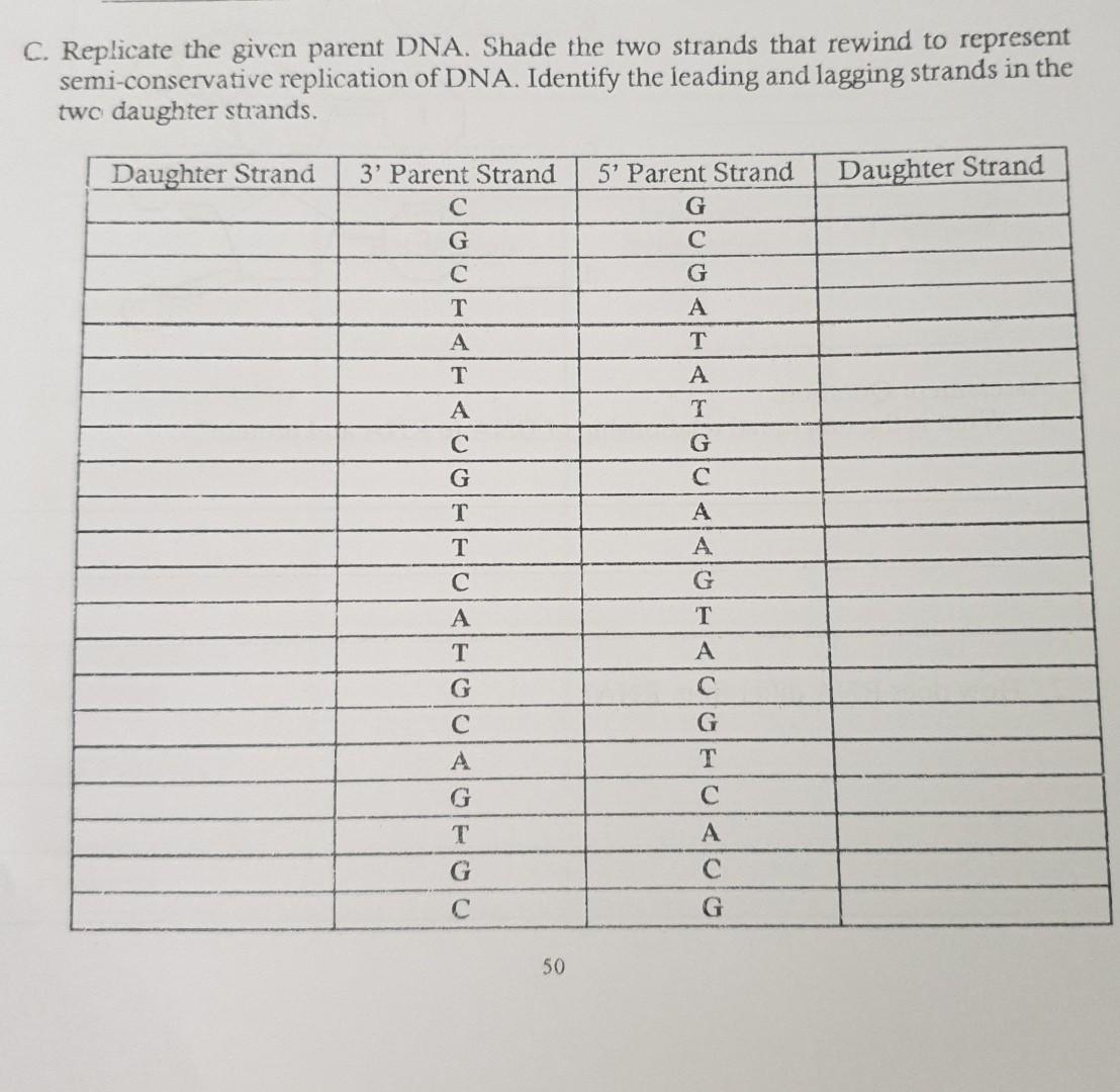 Solved A. Identify the following numbered items in the | Chegg.com