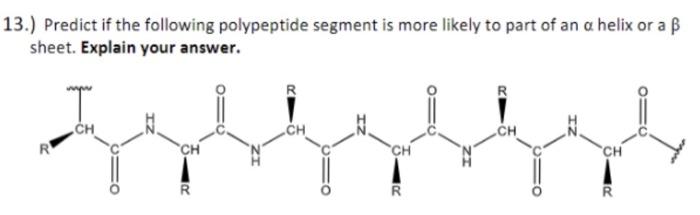 Solved 13.) Predict if the following polypeptide segment is | Chegg.com
