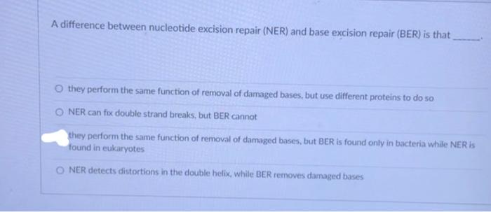 Solved A difference between nucleotide excision repair (NER) | Chegg.com