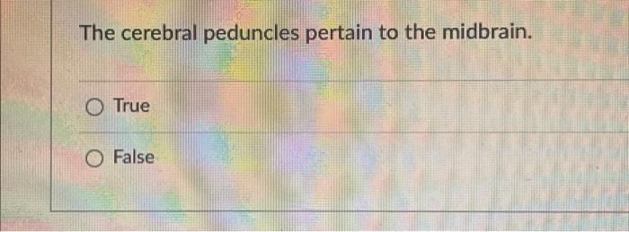 Solved The cerebral peduncles pertain to the midbrain. True | Chegg.com