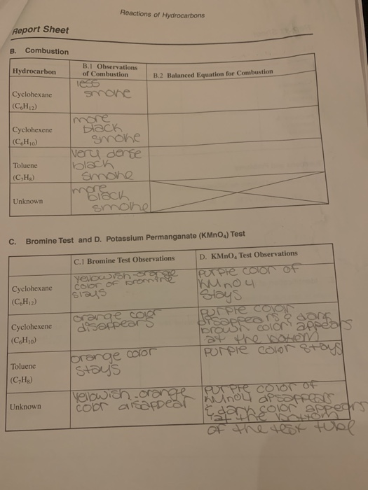 Solved Reactions of Hydrocarbons Report Sheet B. Combustion | Chegg.com