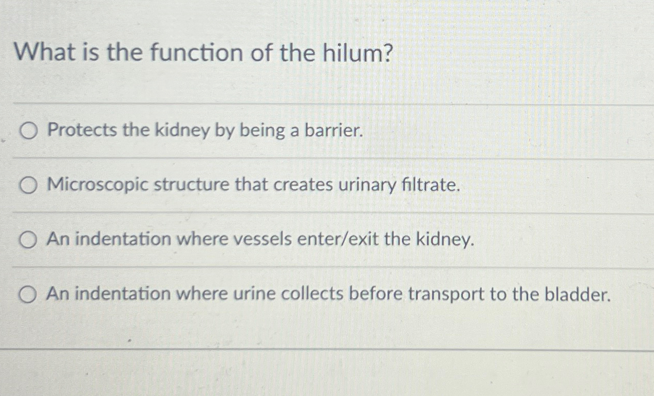 Solved What is the function of the hilum?Protects the kidney | Chegg.com