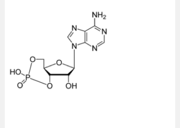 Solved NH2 HO! Which statements about the molecule shown | Chegg.com