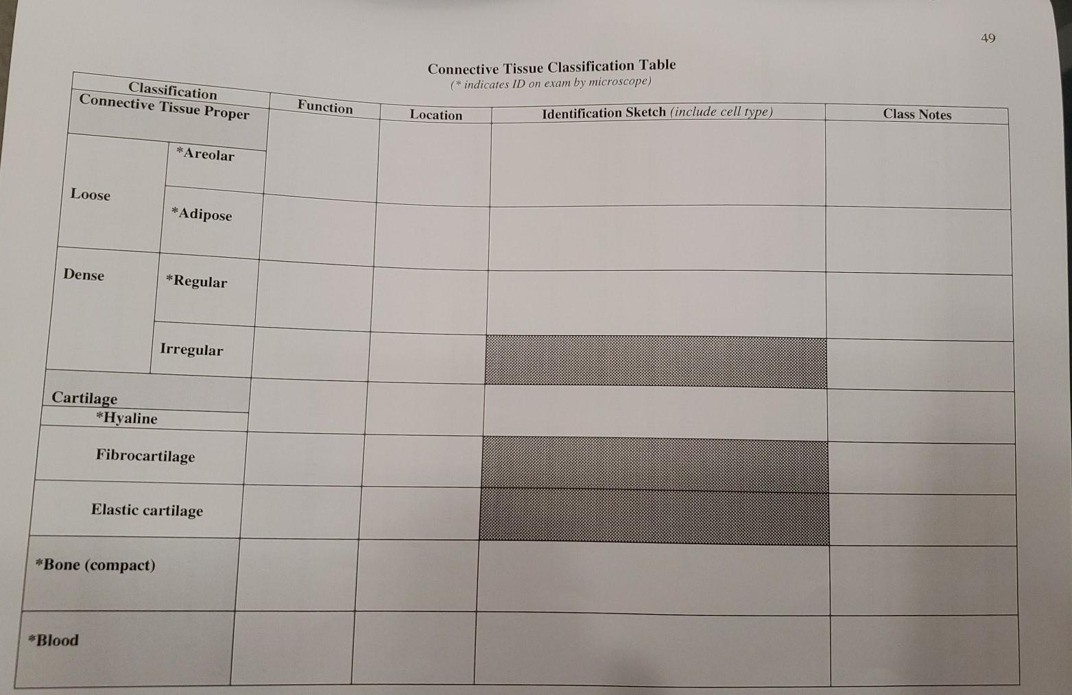 Solved 49 Classification Connective Tissue Proper Connective | Chegg.com