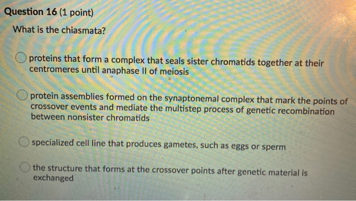 Solved Question 16 (1 point) What is the chiasmata? proteins | Chegg.com