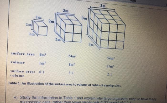 Solved Table 1: An illustration of the surface area to | Chegg.com