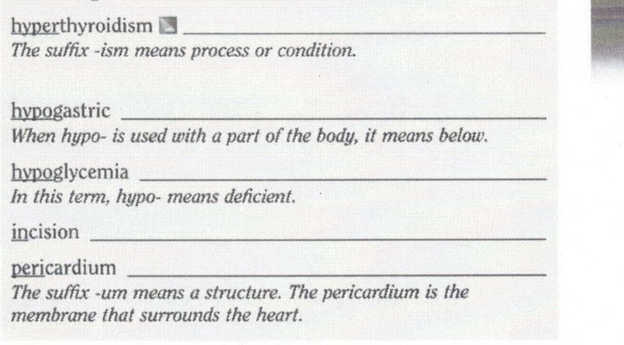 Solved hyperthyroidism q,The suffix-ism means process or | Chegg.com