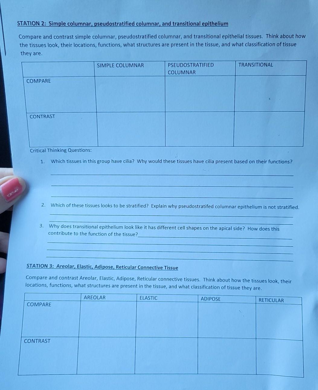 Solved HISTOLOGY LAB: STUDENT WORKSHEET Part I: Using the | Chegg.com